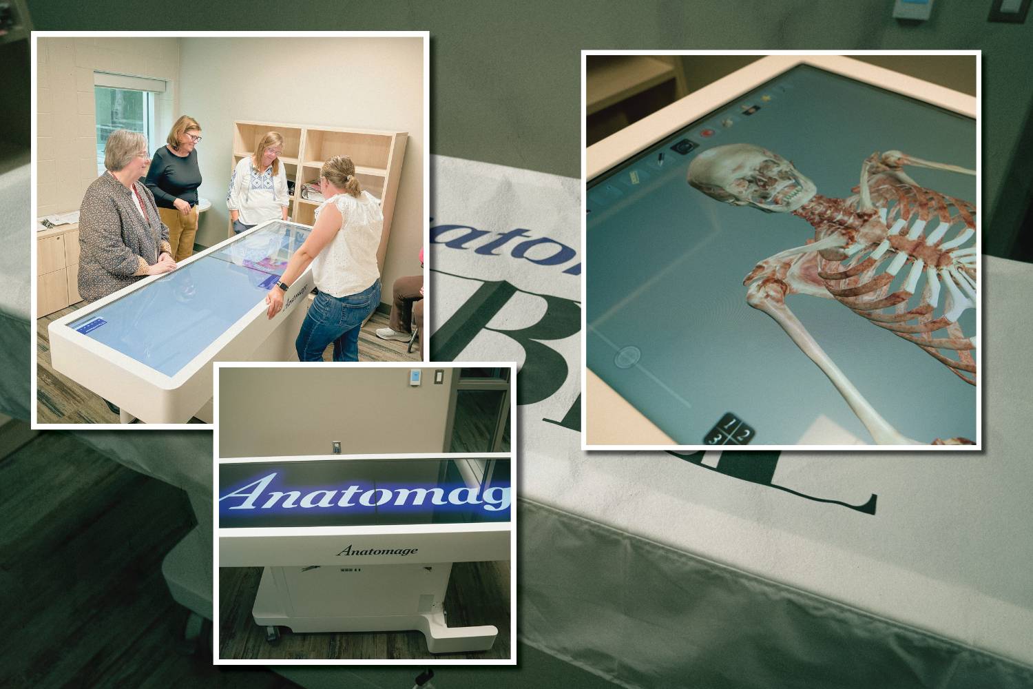 Biology and Health Science Degrees | Aquinas College